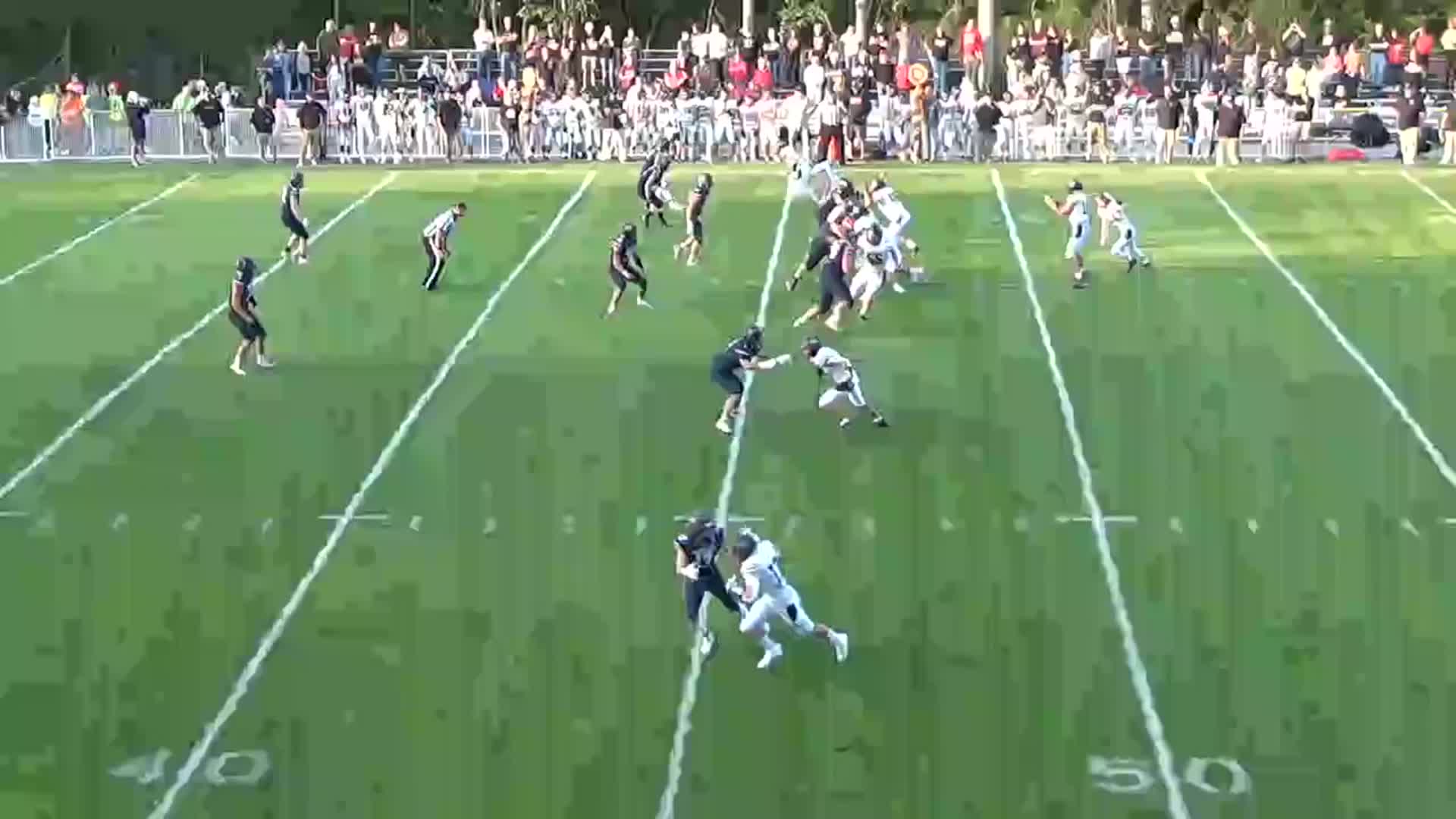 24-25 Season - Trey Wingard highlights - Hudl