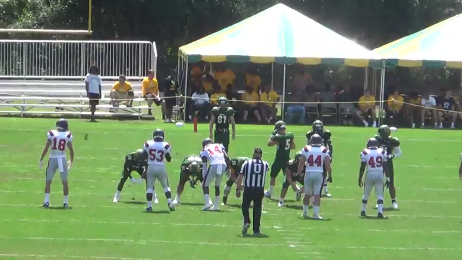 2018 SU Football Highlights - Shenandoah highlights - Hudl