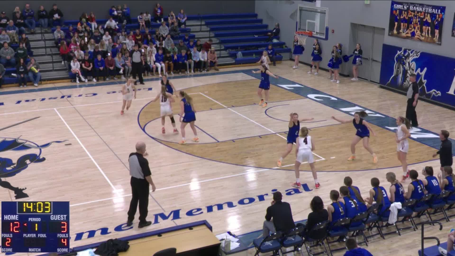 Lake Crystal-Wellcome Memorial High - Steph Cink highlights - Hudl