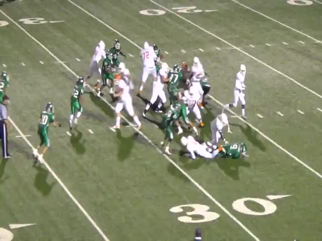 Monahans Loboes Logo